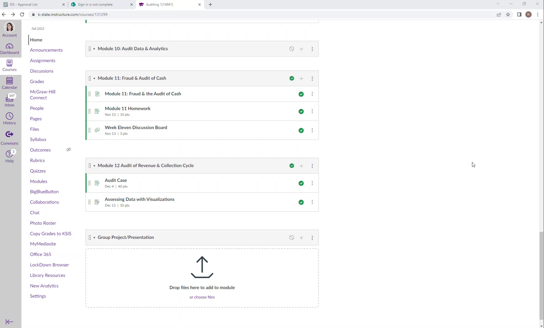 Audit Case Description & Requirements