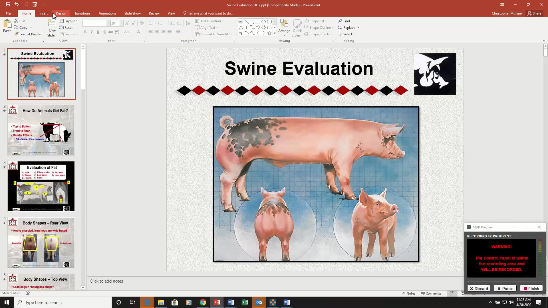 Swine Unit - Breeding Selection