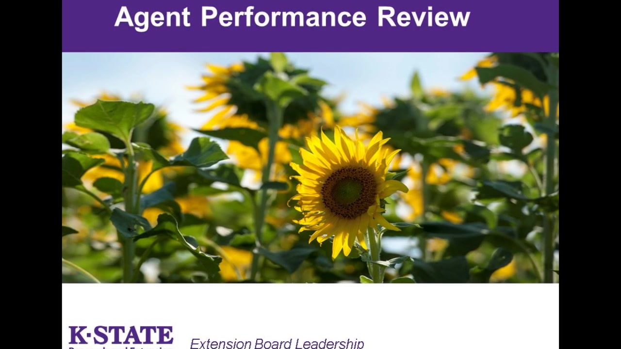Agent Performance Review | Board Leadership